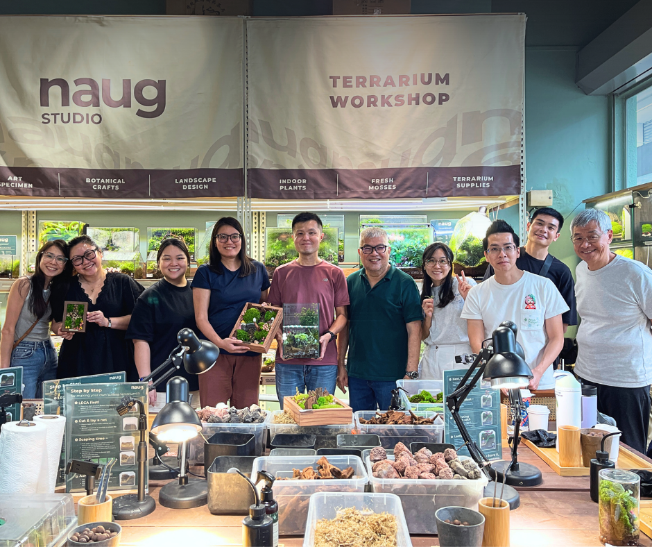 Crafting the New Office Decor at Naug Just Plants – naugjustplants