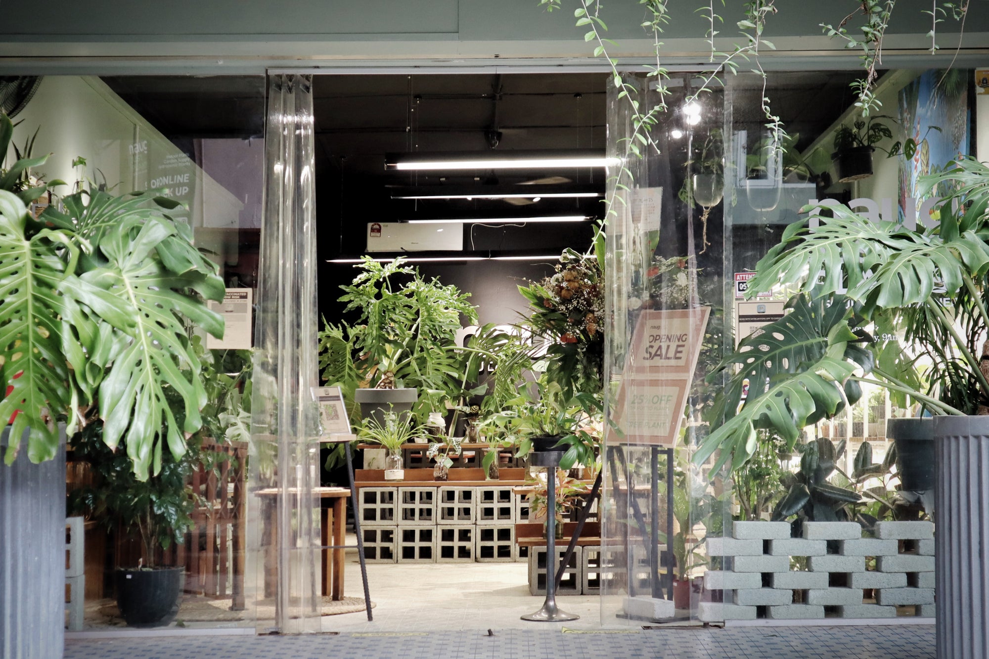 Naug Just Plants | Indoor Plants Boutique & Landscape Design Studio ...