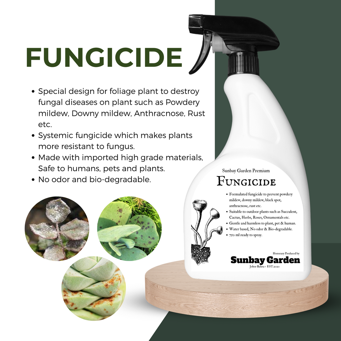 Fungicide Series – naugjustplants