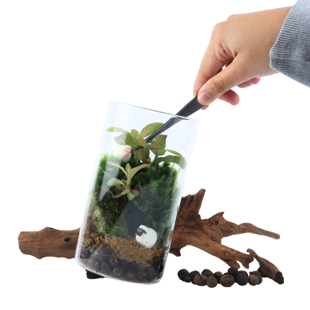 About Us – naugjustplants