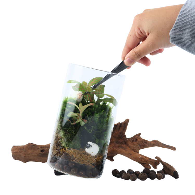 About Us – naugjustplants