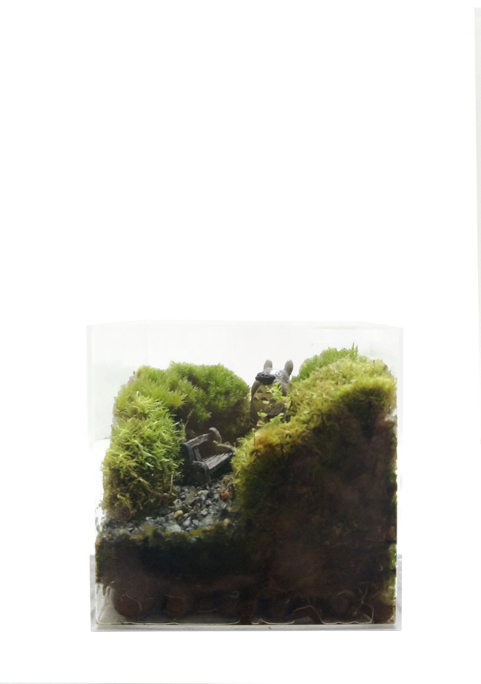 Naug Just Plants | Indoor Plants Boutique & Landscape Design Studio ...
